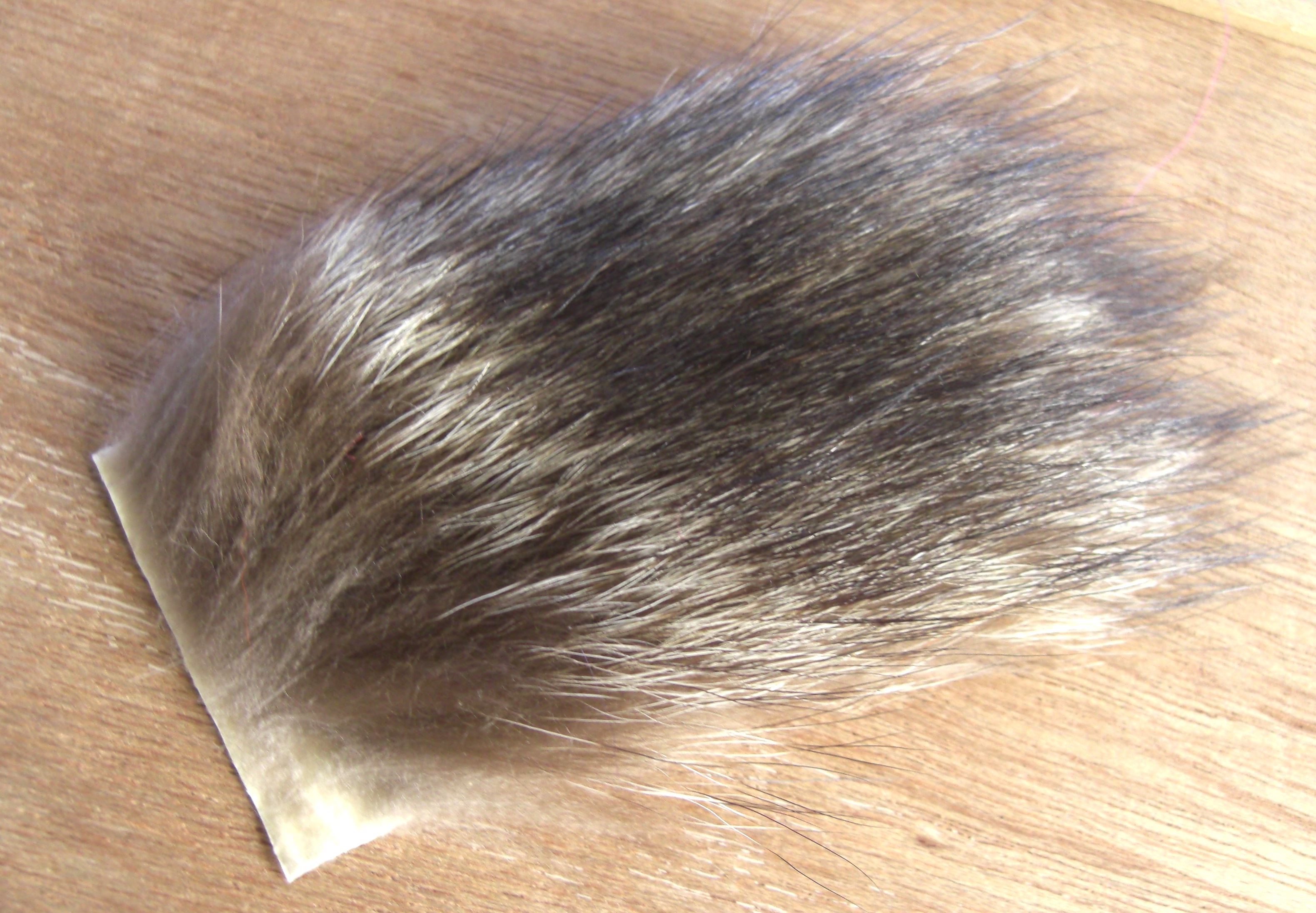 Canadian Raccoon Fur for tying tube flies